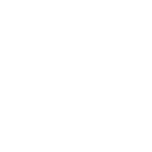 Voliro Reporting System